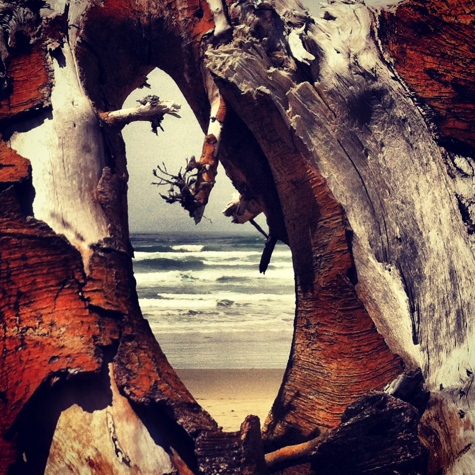 Susie Sweetland Garay Photography | The Citron Review