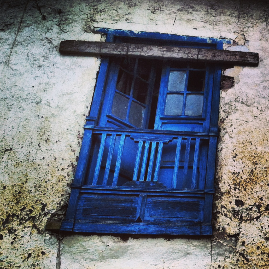 Susie Sweetland Garay Photography | The Citron Review